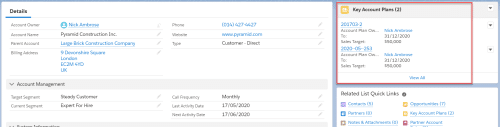 How To Build Powerful Key Account Plans In Salesforce (Template)