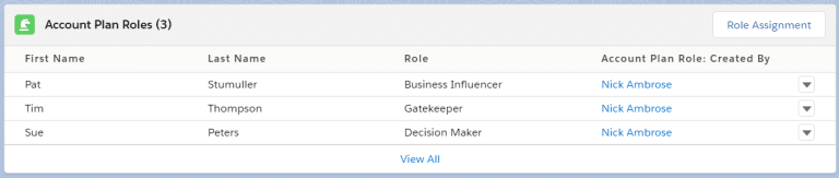 How To Build Powerful Key Account Plans In Salesforce (Template)