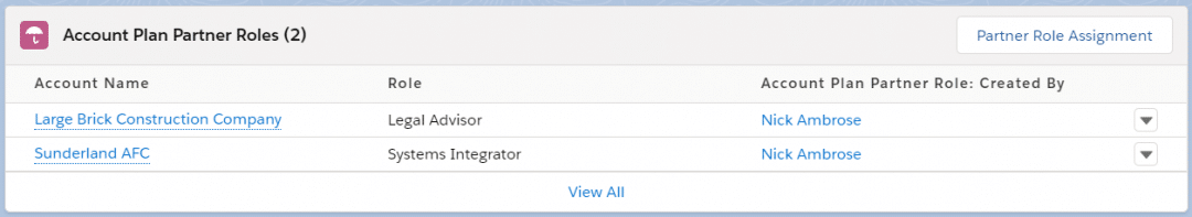 How To Build Powerful Key Account Plans In Salesforce (Template)