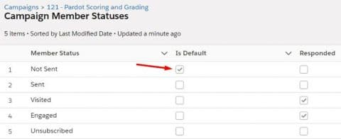 The Ultimate Guide To Campaigns In Salesforce | With Examples