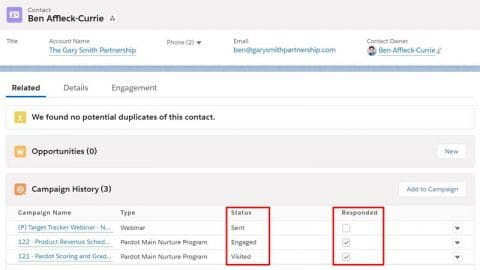 The Ultimate Guide To Campaigns In Salesforce | With Examples