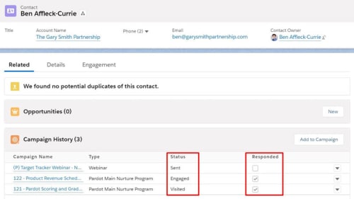 The Ultimate Guide To Campaigns In Salesforce | With Examples