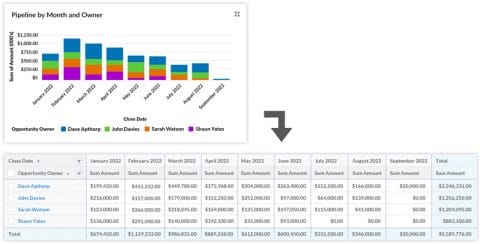 12 Must-Have Salesforce Dashboard Charts | With Video And Examples