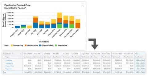 12 Must-Have Salesforce Dashboard Charts | With Video And Examples