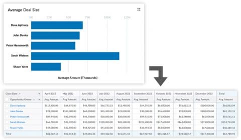 12 Must-Have Salesforce Dashboard Charts | With Video And Examples
