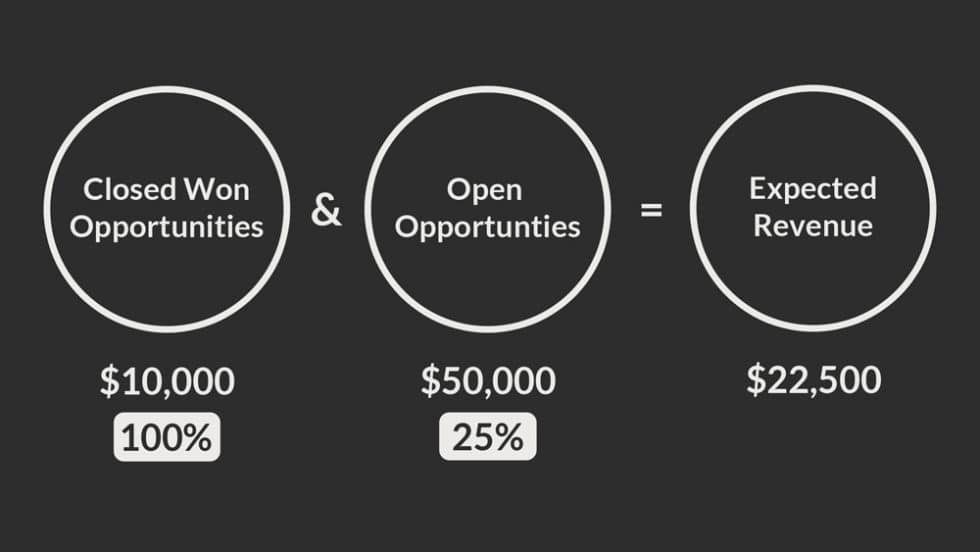 Why An Expected Revenue Sales Forecasts Stands Up to Scrutiny