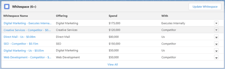 How White Space Analysis in Salesforce Drives New Opportunities