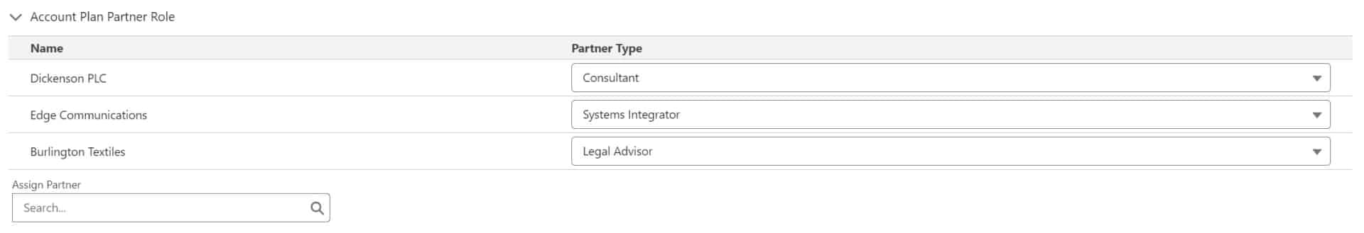 Account Plan Partner Roles | Account Planner by GSP