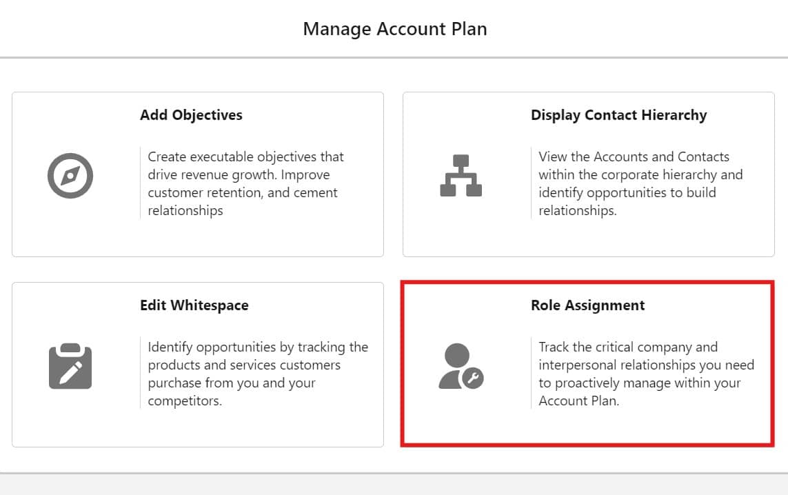 Account Plan Partner Roles | Account Planner by GSP