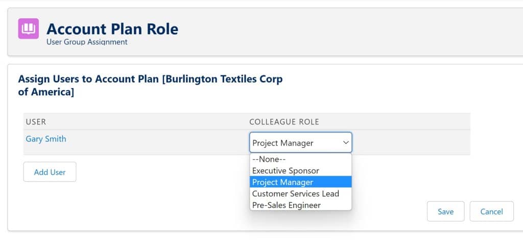 Account Plan Colleague Roles Fully Explained