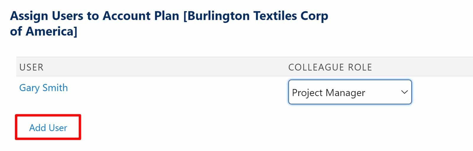 Account Plan Colleague Roles Fully Explained
