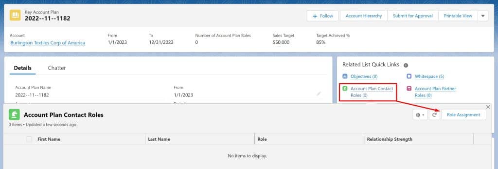 Account Plan Contact Roles fully explained