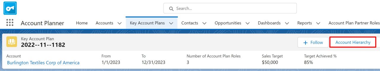 How to view the Account Hierarchy from an Account Plan