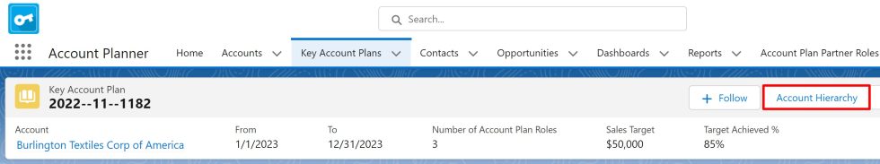 How to view the Account Hierarchy from an Account Plan