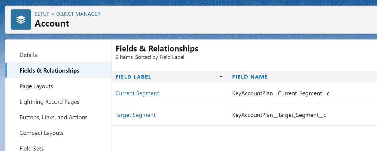Edit Segmentation Fields | GSP Account Planner