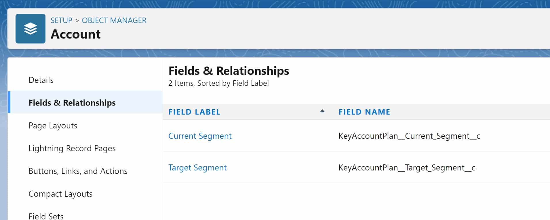 Edit Segmentation Fields | GSP Account Planner