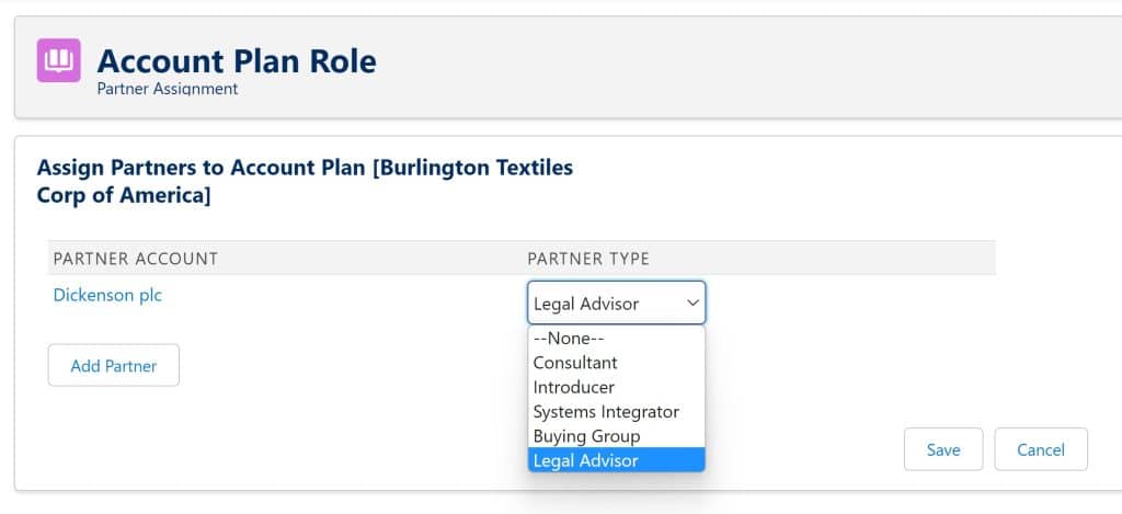 Account Plan Partner Roles Fully Explained